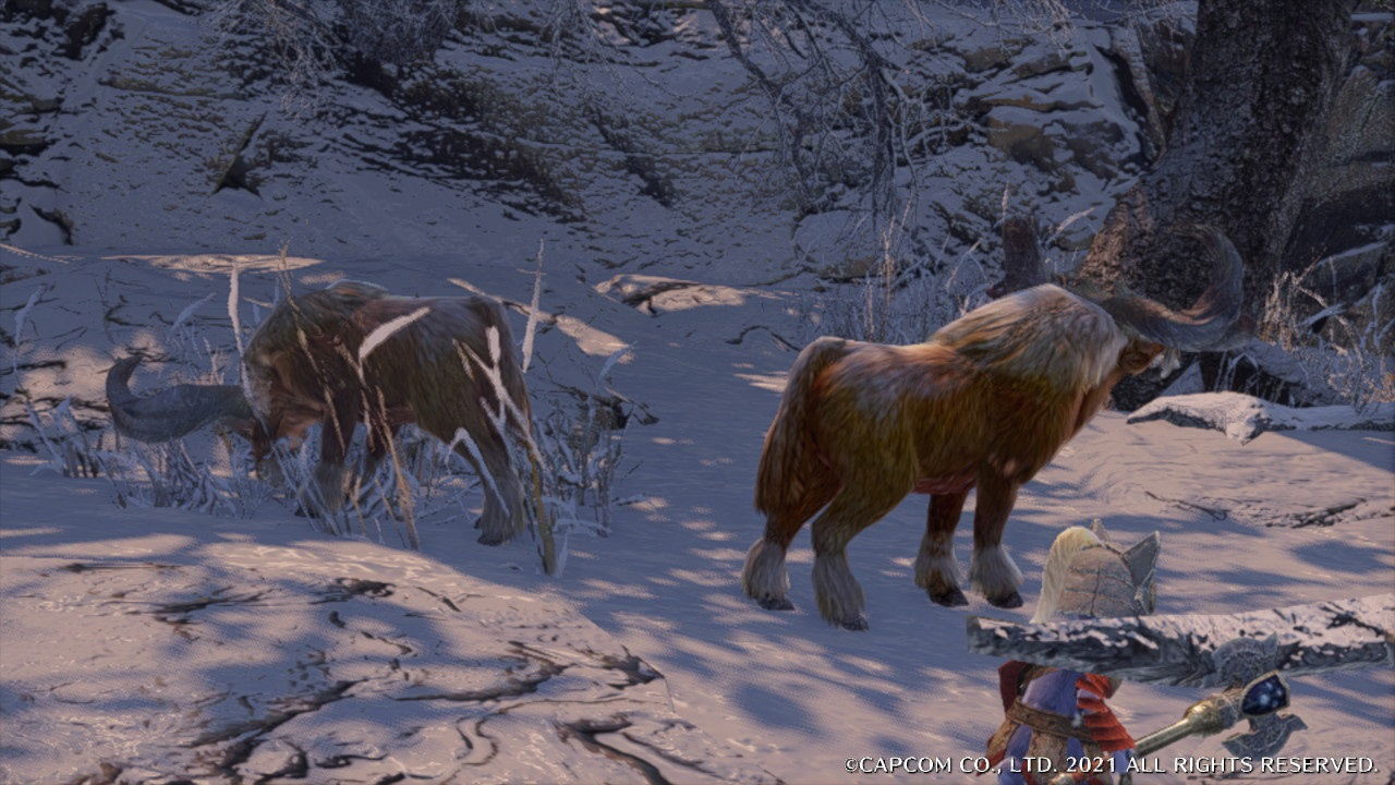 Anteka - details, drops and location | Monster Hunter Rise (MH Rise) | MHR