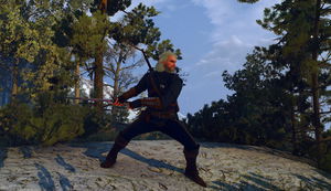 The Witcher 3 - Best Combat Builds