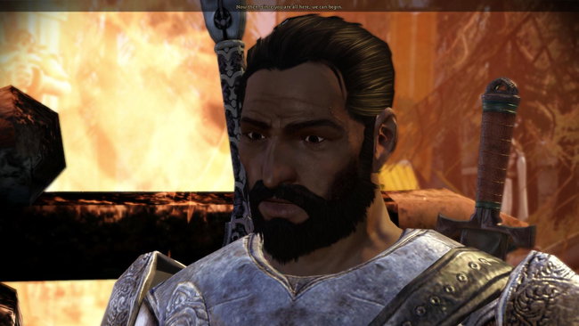 Best Warden Builds for Dragon Age: Origins