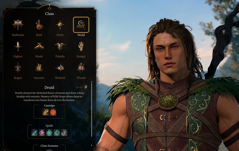 Best Druid Builds for Baldur's Gate 3