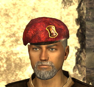 Best Shotgun Build | Fallout: New Vegas (FNV)