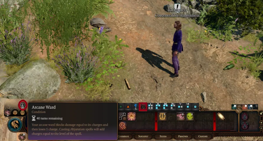 Infinite Arcane Ward stacks | Baldur's Gate 3 (BG3)