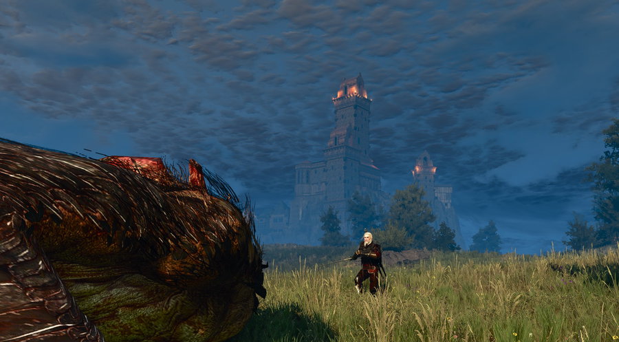 Witcher 3: Wild Hunt Builds, Guides and News - Gamestegy.com