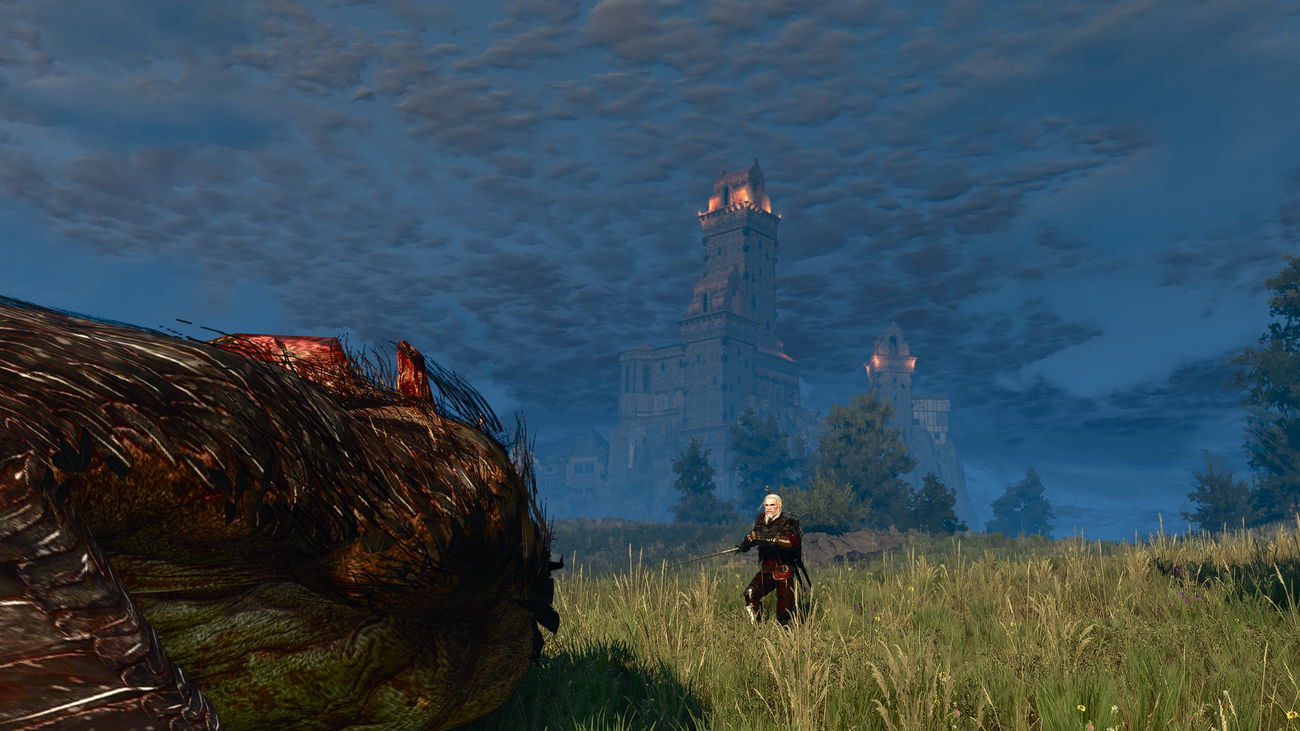 Pure Combat skill Build - Destroy Enemies | Witcher 3: Wild Hunt