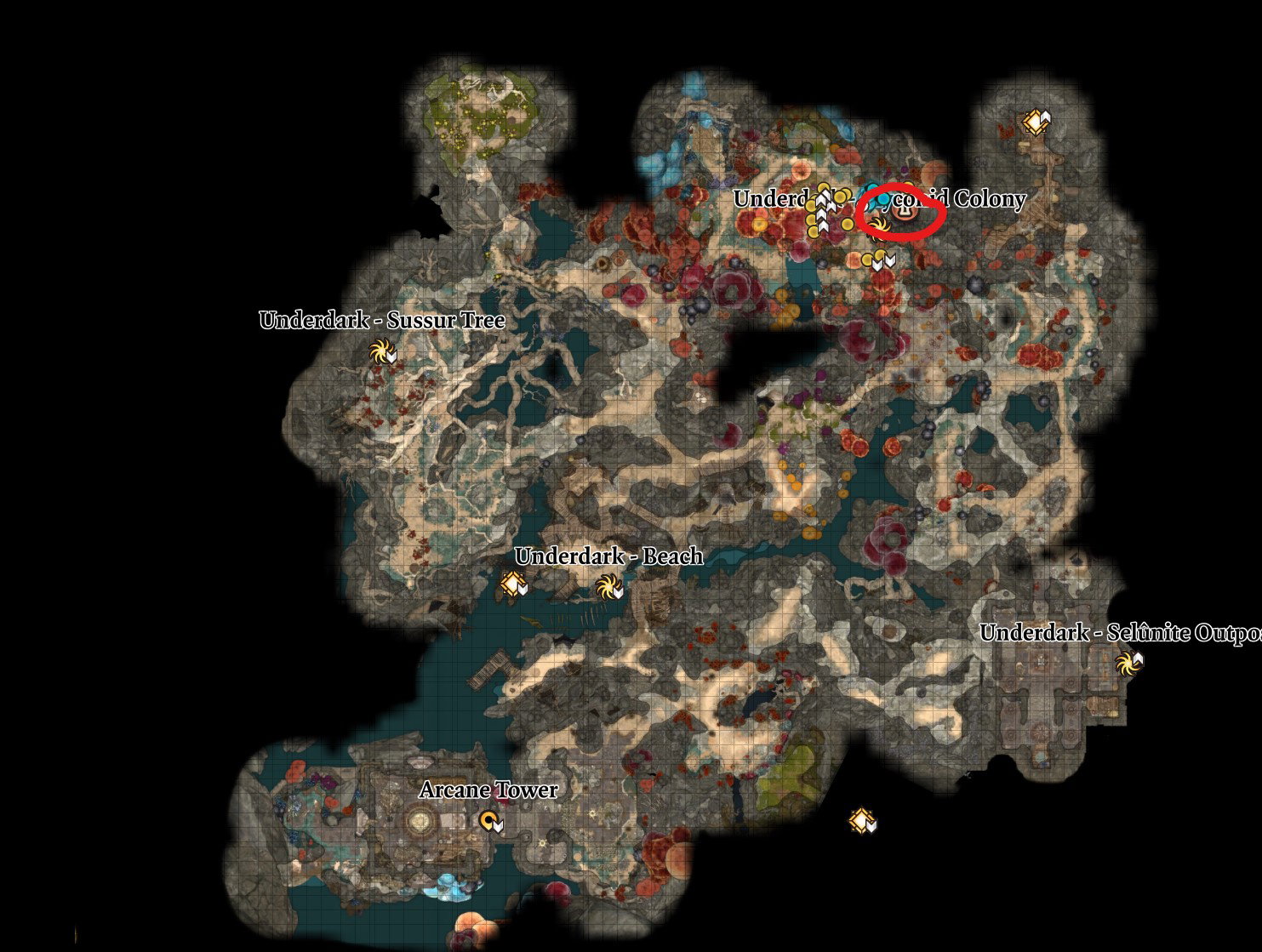 Where to buy Spell Scrolls? Scroll Merchants locations | Baldur's Gate ...