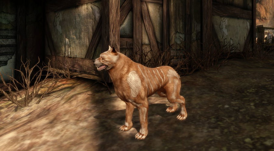 Latest Dragon Age: Origins (DAO) discussions