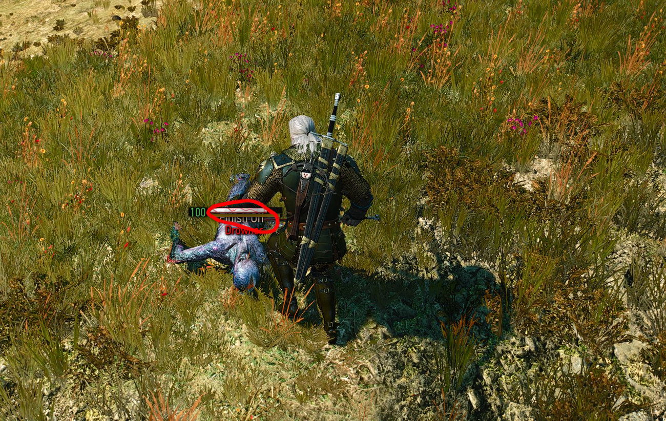 Piercing Cold - Aard Build | Witcher 3: Wild Hunt