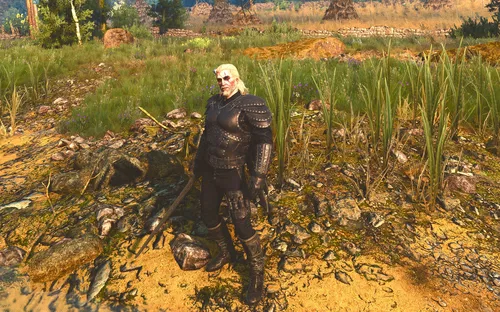 The Witcher 3 - Best Sign Builds
