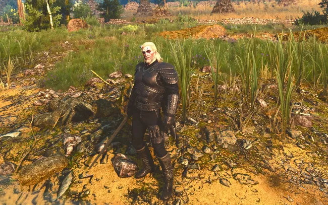 The Witcher 3 - all Builds list