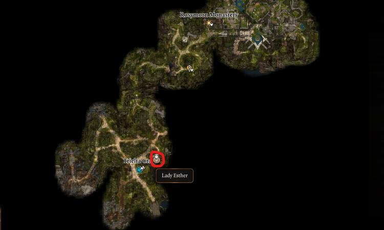 Where to buy Spell Scrolls? Scroll Merchants locations | Baldur's Gate ...