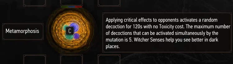 Best Metamorphosis Build - Complete Guide | Witcher 3: Wild Hunt
