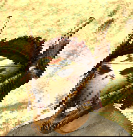 Best Shotgun Build | Fallout: New Vegas (FNV)