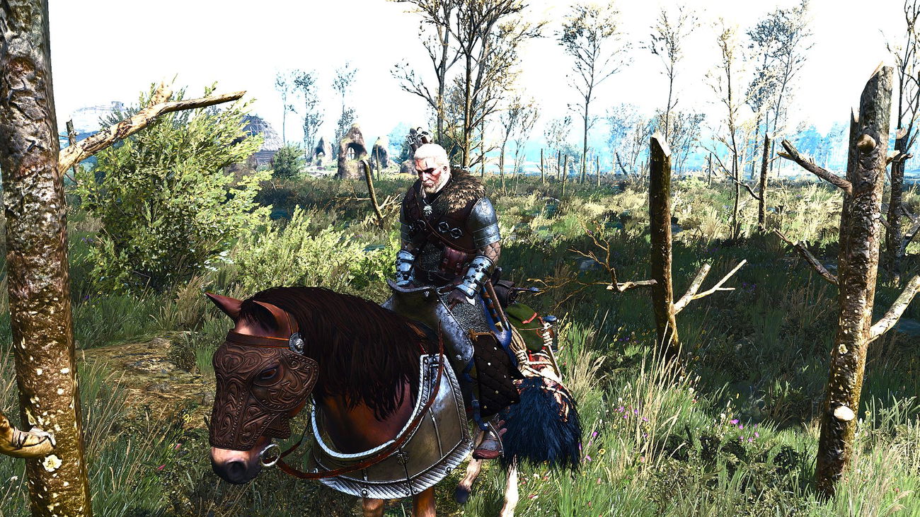 Ursine Tank Build - Bear School | Witcher 3: Wild Hunt